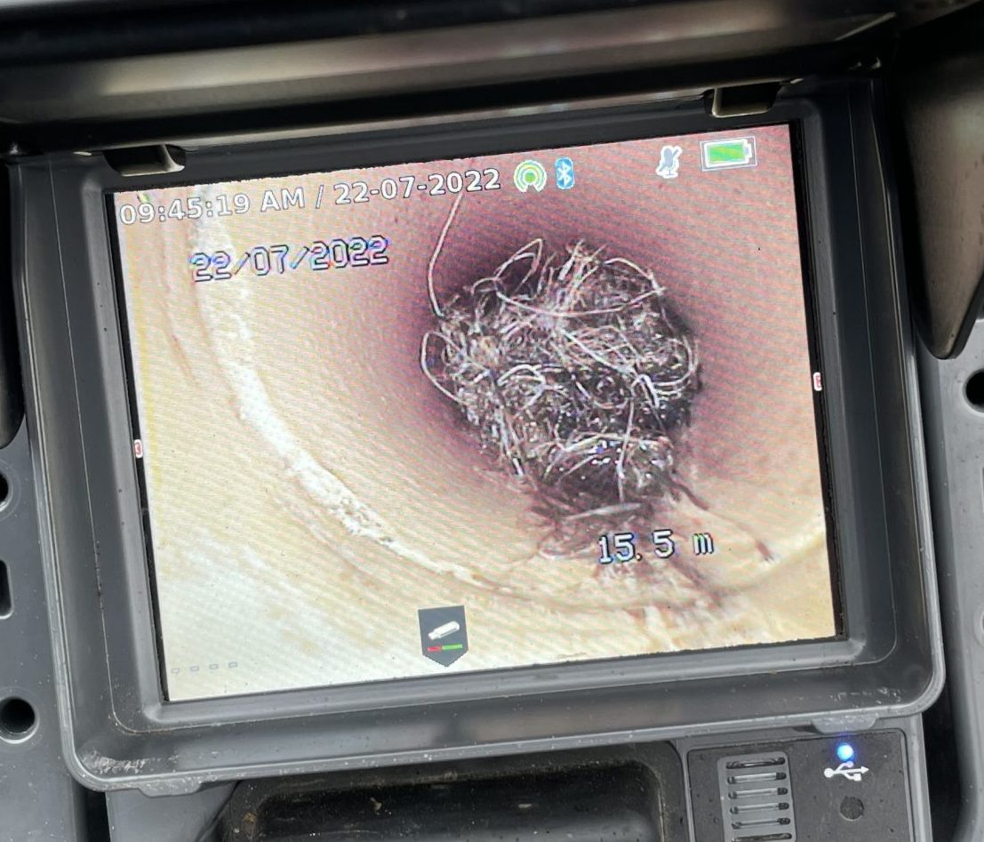 Tree Roots - SOS Drainage & Plumbing